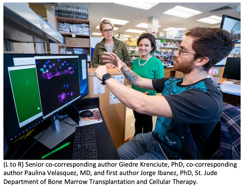 St Jude Researchers Validate Target For Car T Cell Therapy In Brain And Solid Tumors Applied